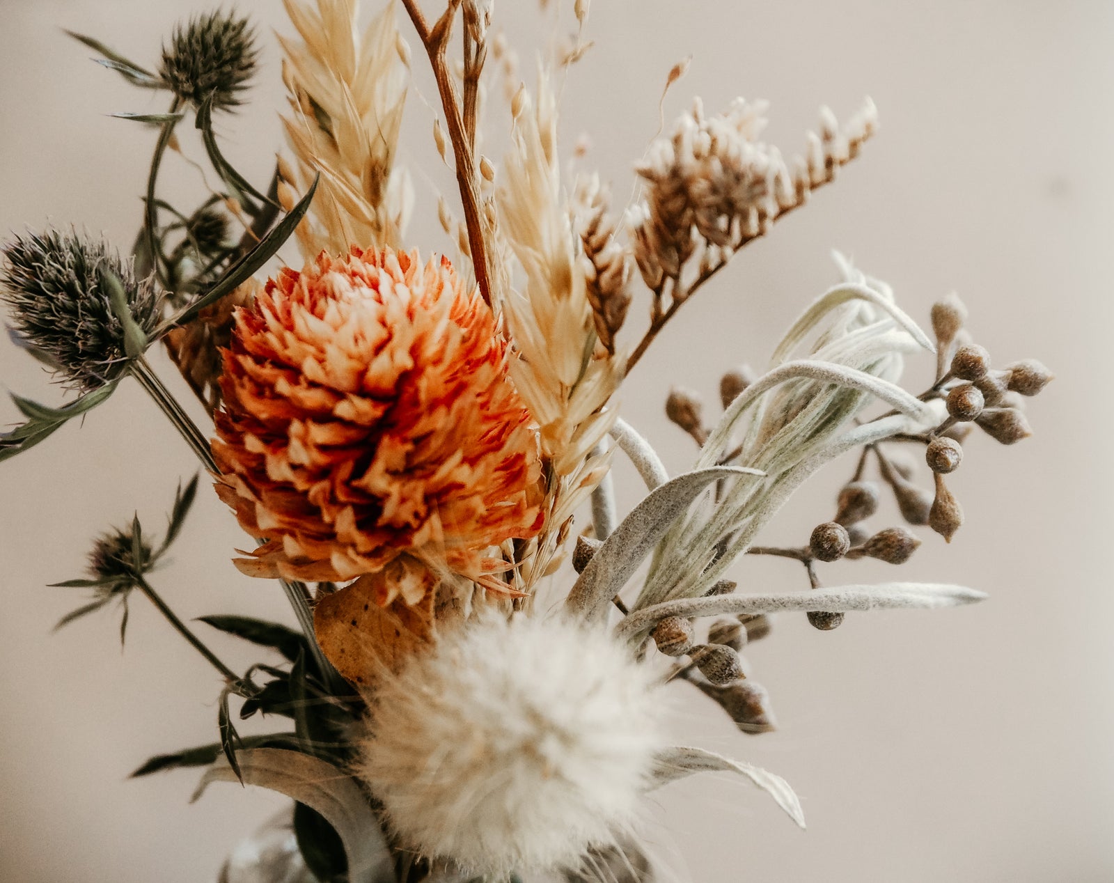 About – APJ Designs